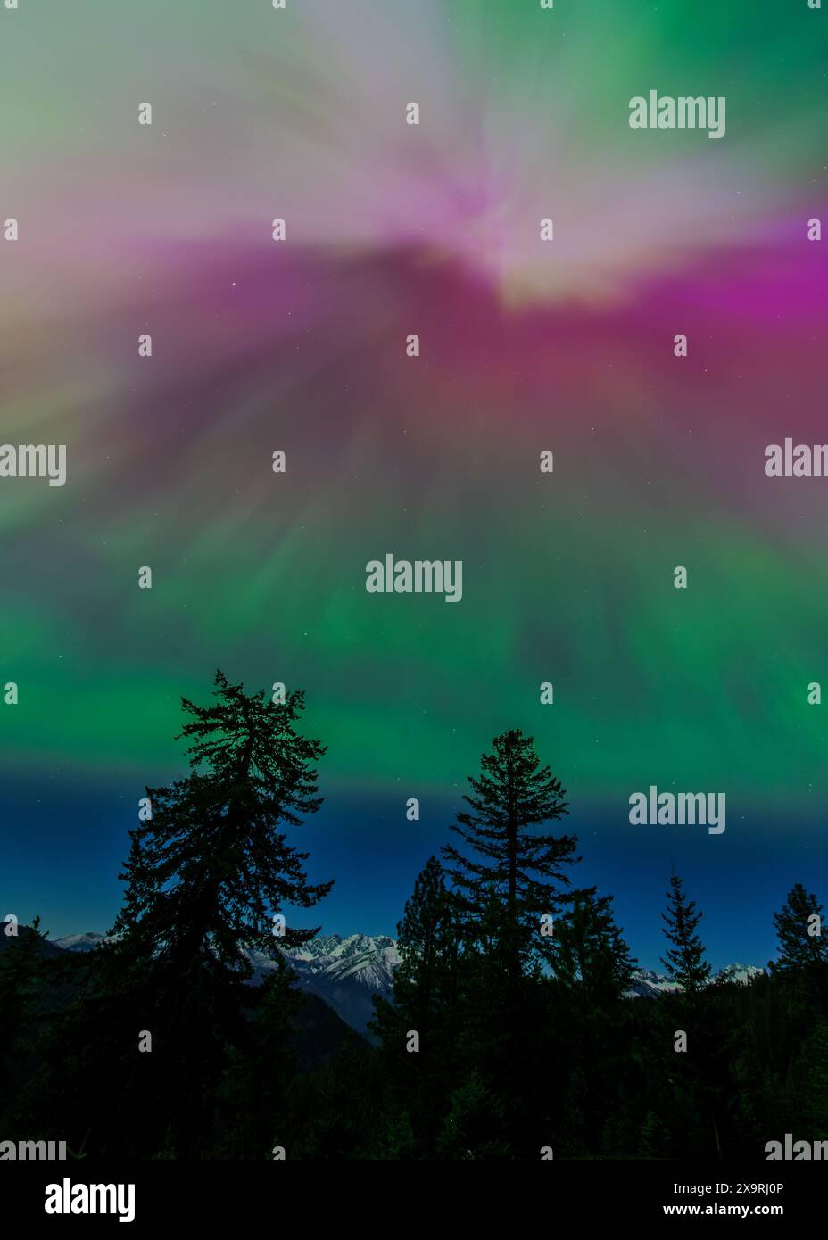 Amazing Aurora Borealis Northern Lights Seen Over Washington State ...