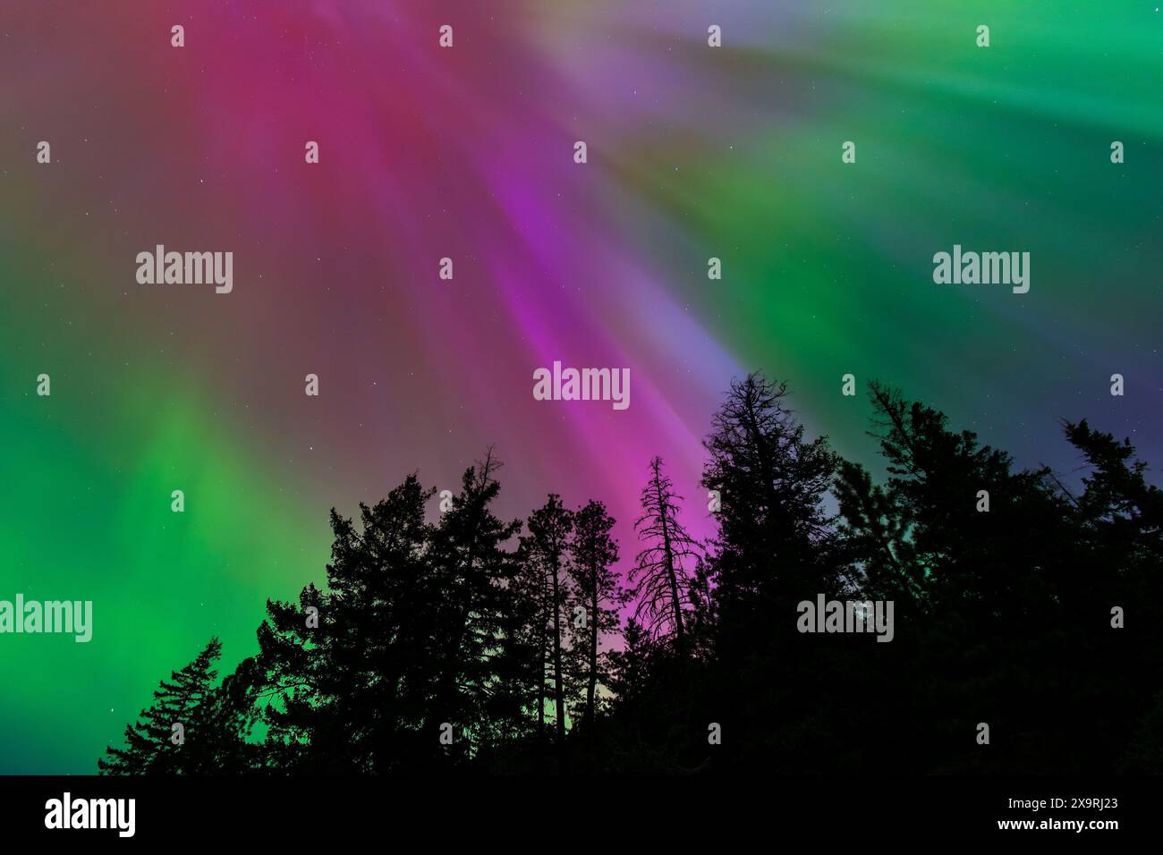 Amazing Aurora Borealis Northern Lights Seen Over Washington State ...