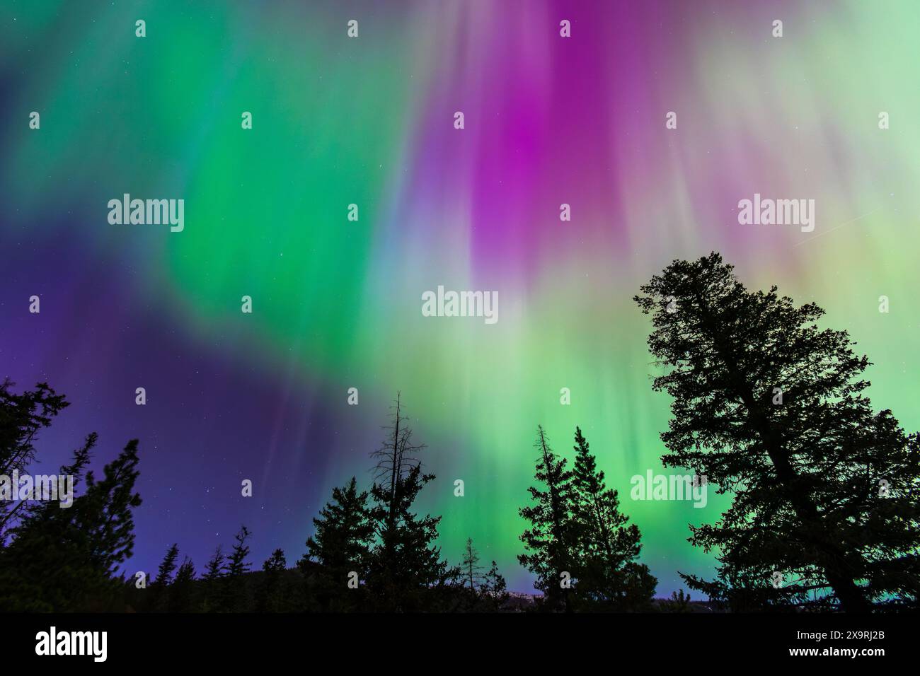 Amazing Aurora Borealis Northern Lights Seen Over Washington State ...