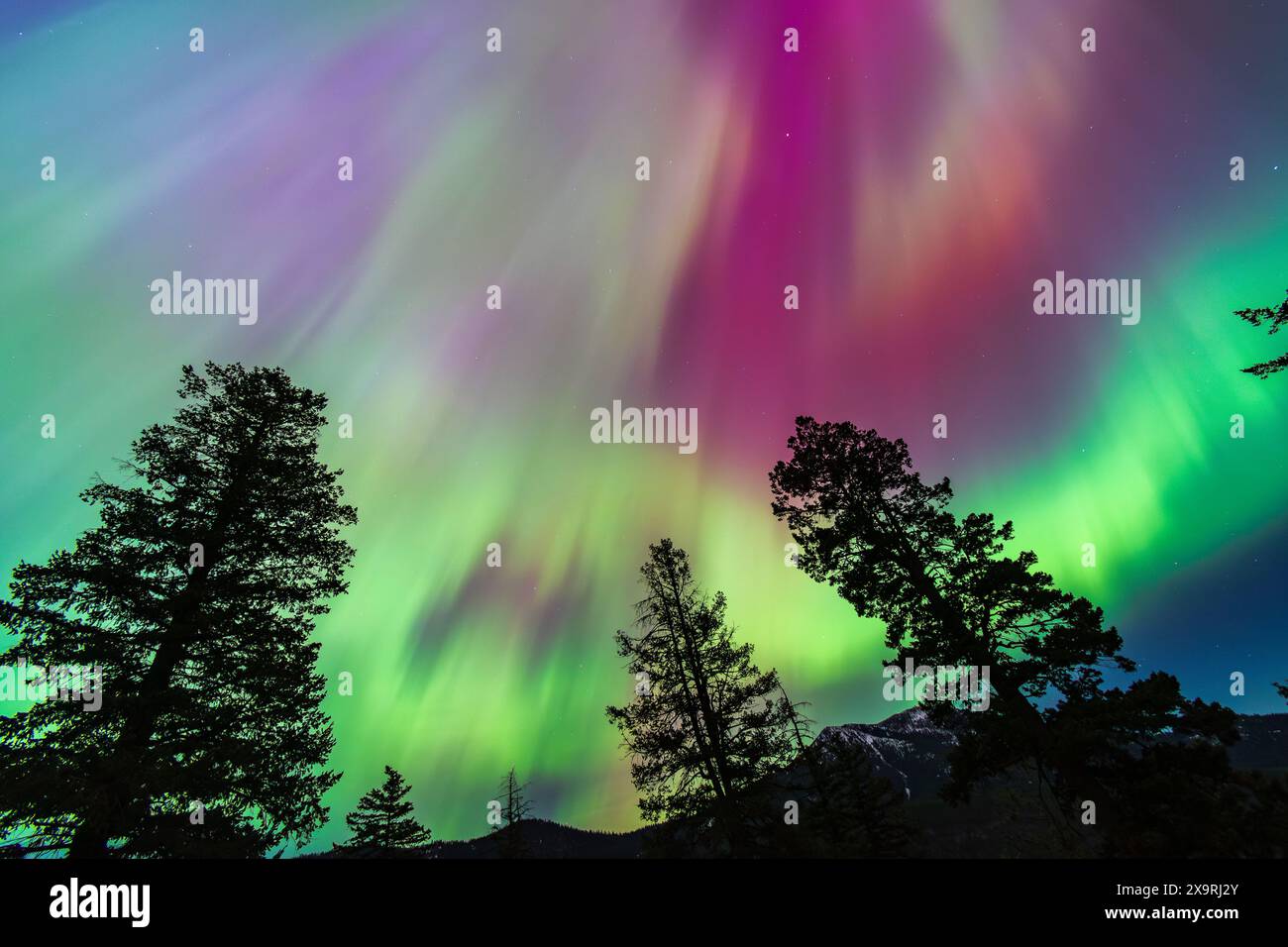 Amazing Aurora Borealis Northern Lights Seen Over Washington State ...
