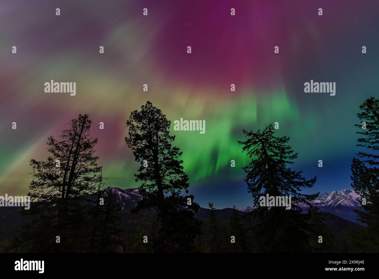 Amazing Aurora Borealis Northern Lights Seen Over Washington State ...
