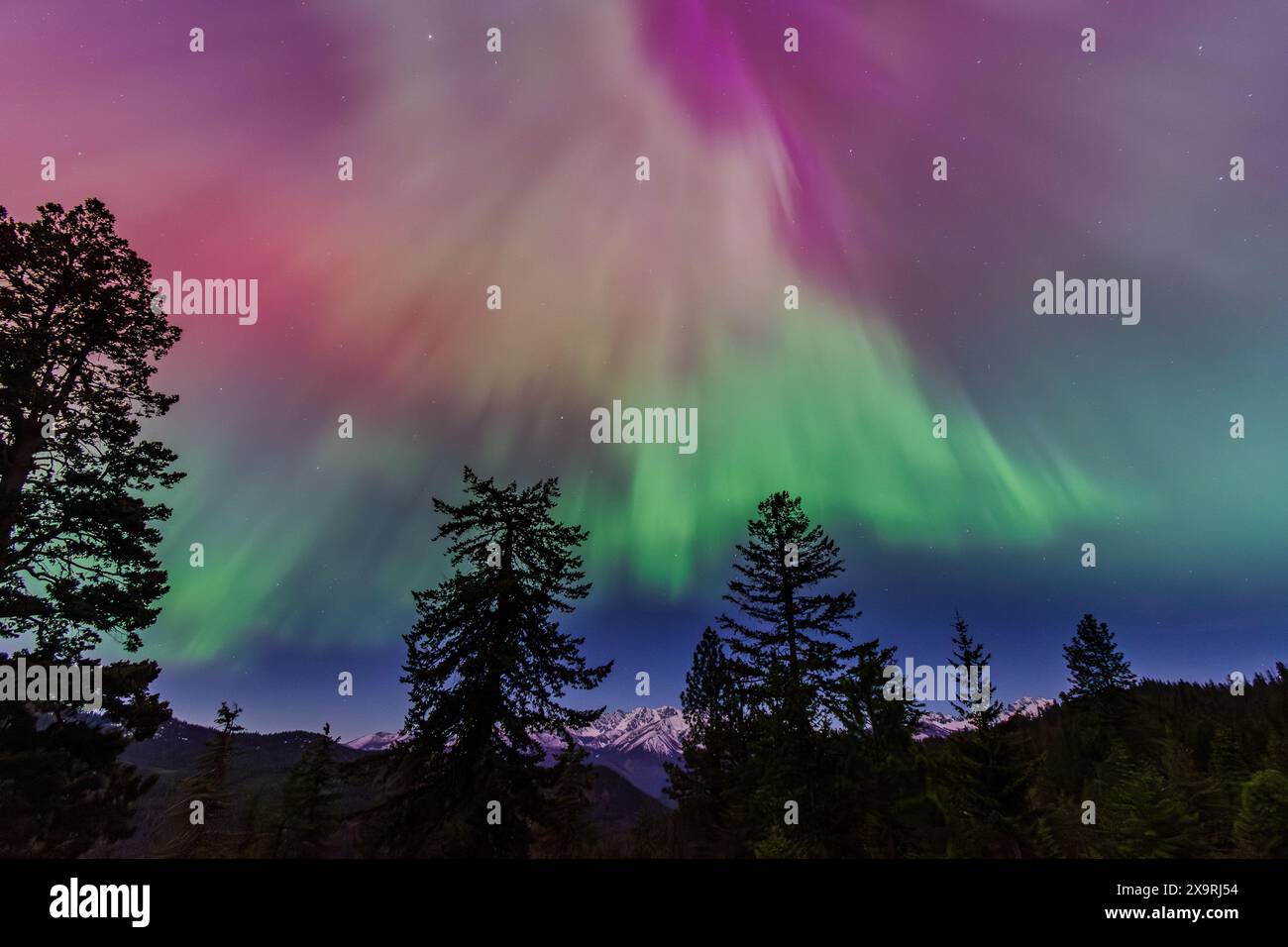 Amazing Aurora Borealis Northern Lights Seen Over Washington State ...