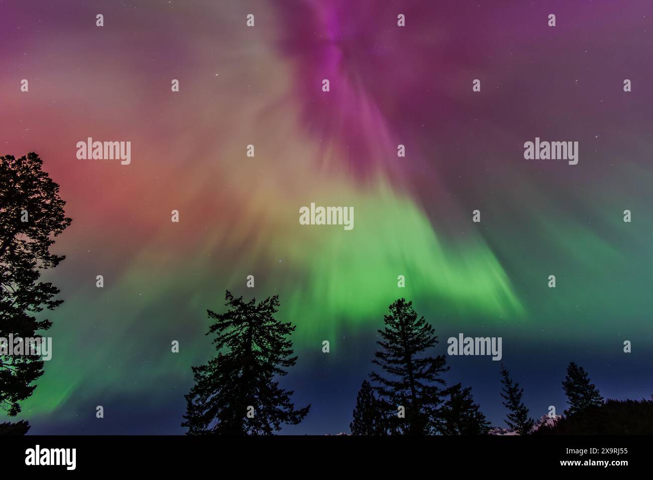 Amazing Aurora Borealis Northern Lights Seen Over Washington State ...