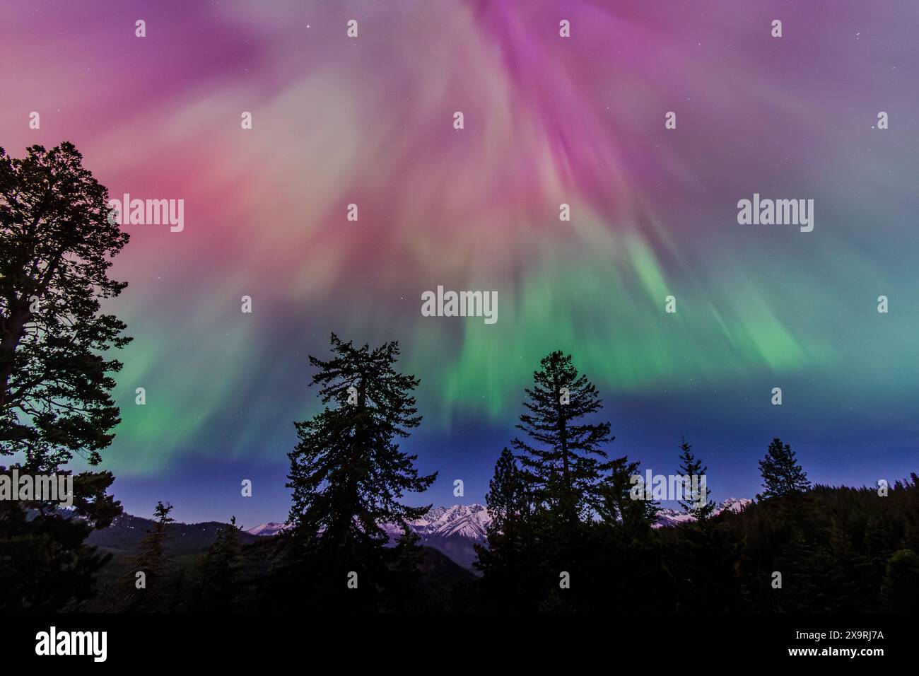 Amazing Aurora Borealis Northern Lights Seen Over Washington State ...