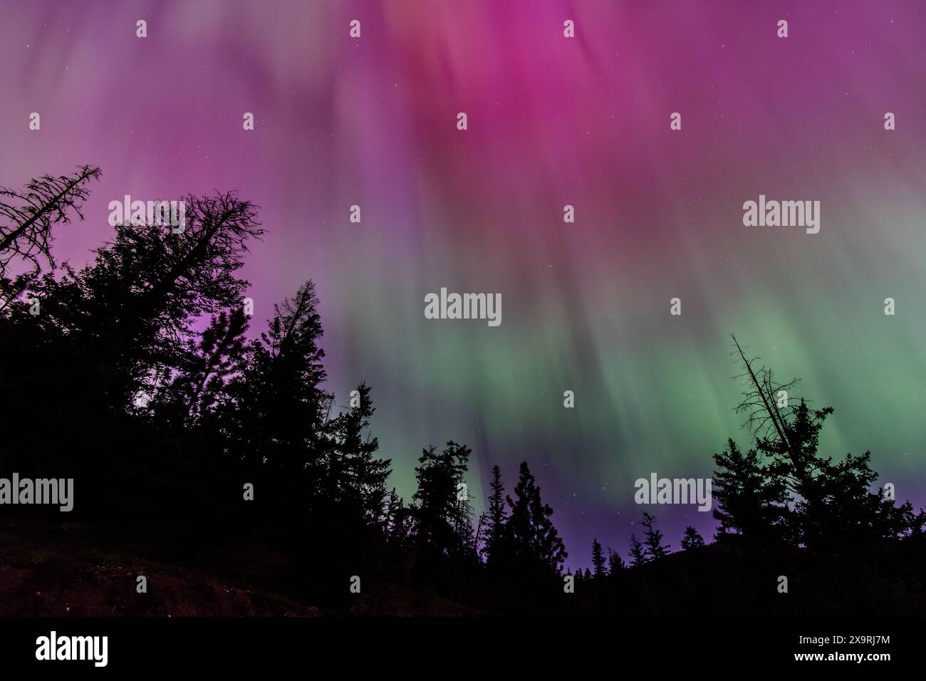 Amazing Aurora Borealis Northern Lights Seen Over Washington State ...