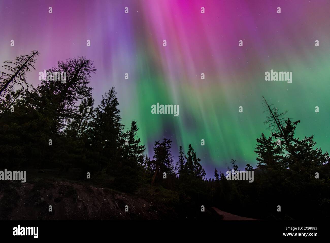 Amazing Aurora Borealis Northern Lights Seen Over Washington State ...
