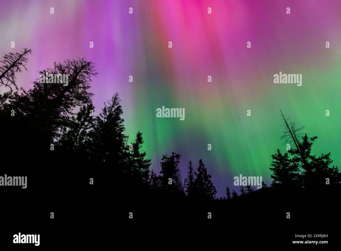 Amazing Aurora Borealis Northern Lights Seen Over Washington State ...