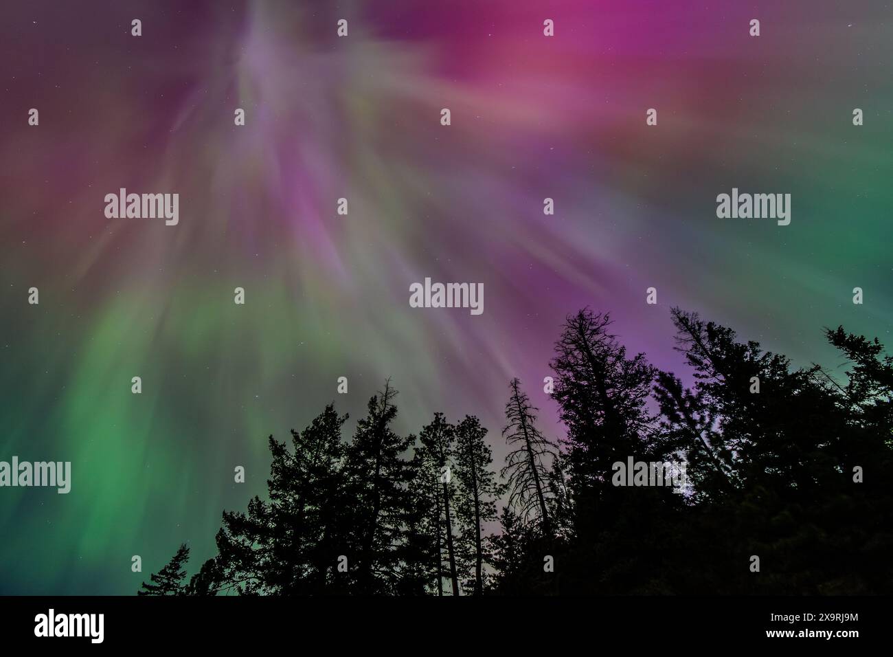 Amazing Aurora Borealis Northern Lights Seen Over Washington State ...