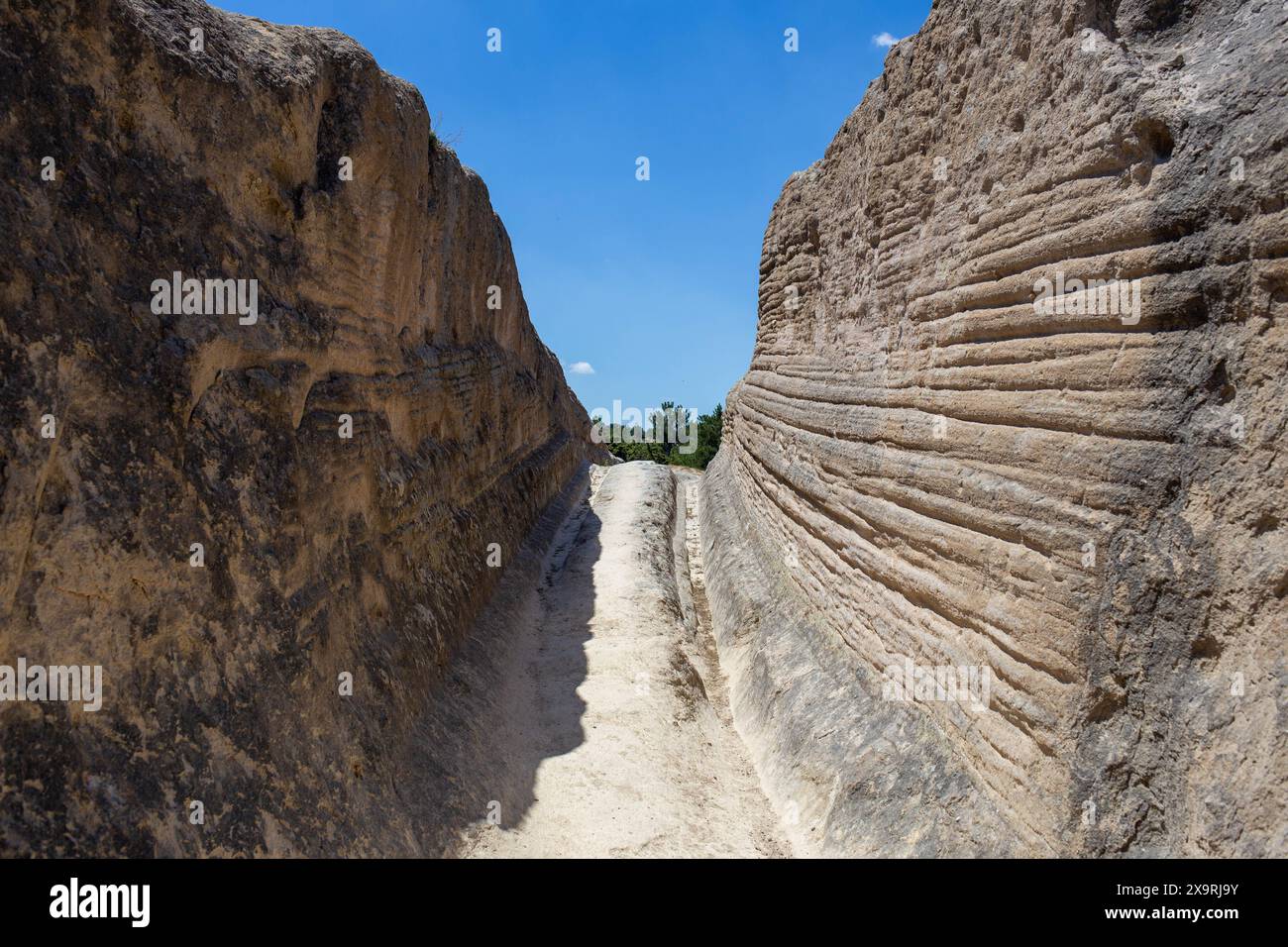 Phrygians hi-res stock photography and images - Alamy