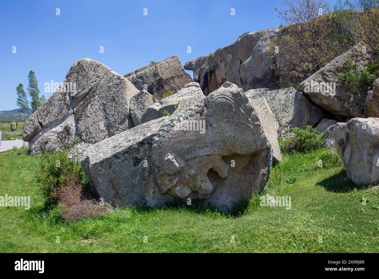 King midas turkey hi-res stock photography and images - Alamy