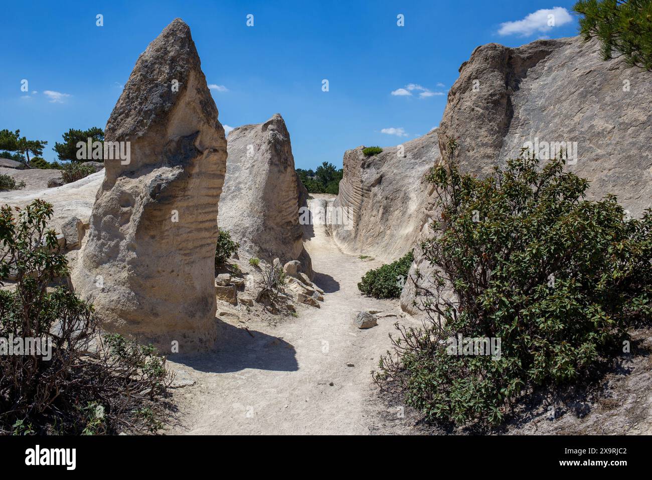 Phrygians hi-res stock photography and images - Alamy