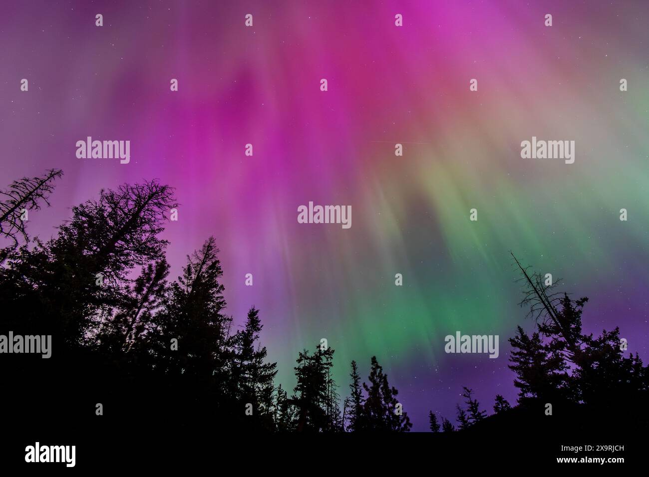 Amazing Aurora Borealis Northern Lights Seen Over Washington State ...