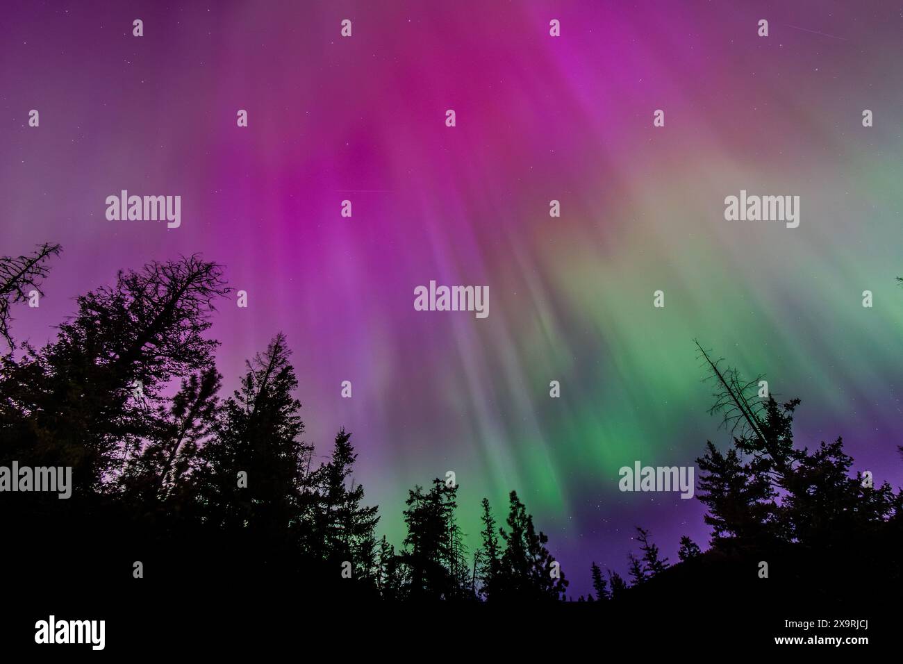 Amazing Aurora Borealis Northern Lights Seen Over Washington State ...