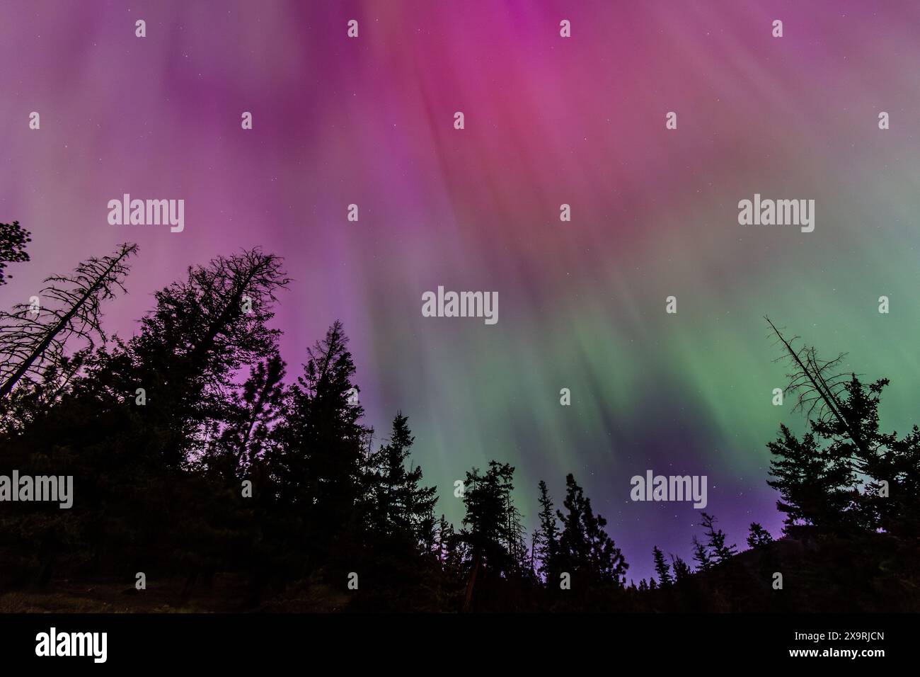 Amazing Aurora Borealis Northern Lights Seen Over Washington State ...