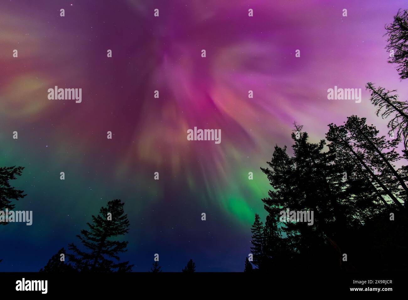 Amazing Aurora Borealis Northern Lights Seen Over Washington State ...