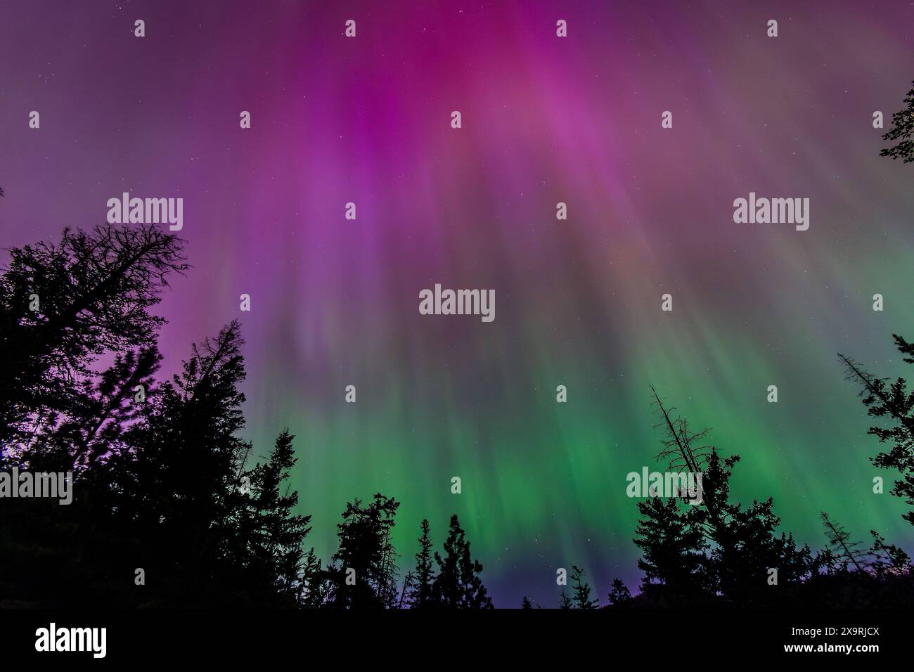 Amazing Aurora Borealis Northern Lights Seen Over Washington State ...