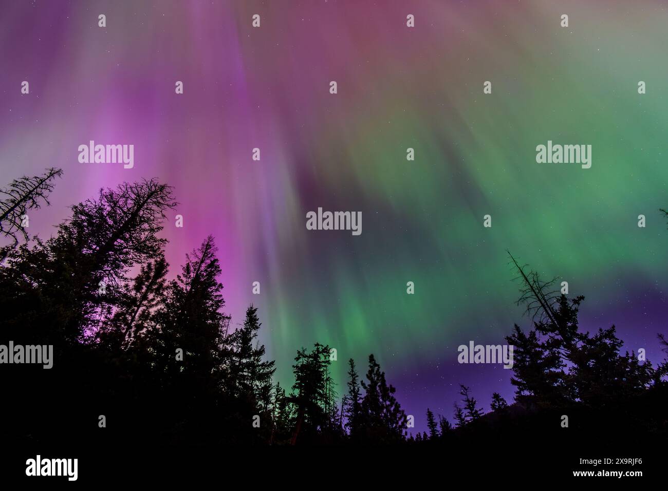 Amazing Aurora Borealis Northern Lights Seen Over Washington State ...
