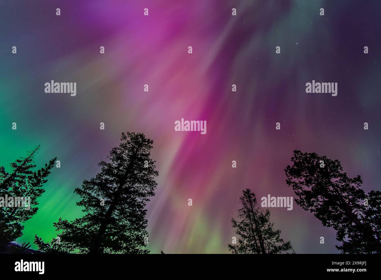 Amazing Aurora Borealis Northern Lights Seen Over Washington State ...