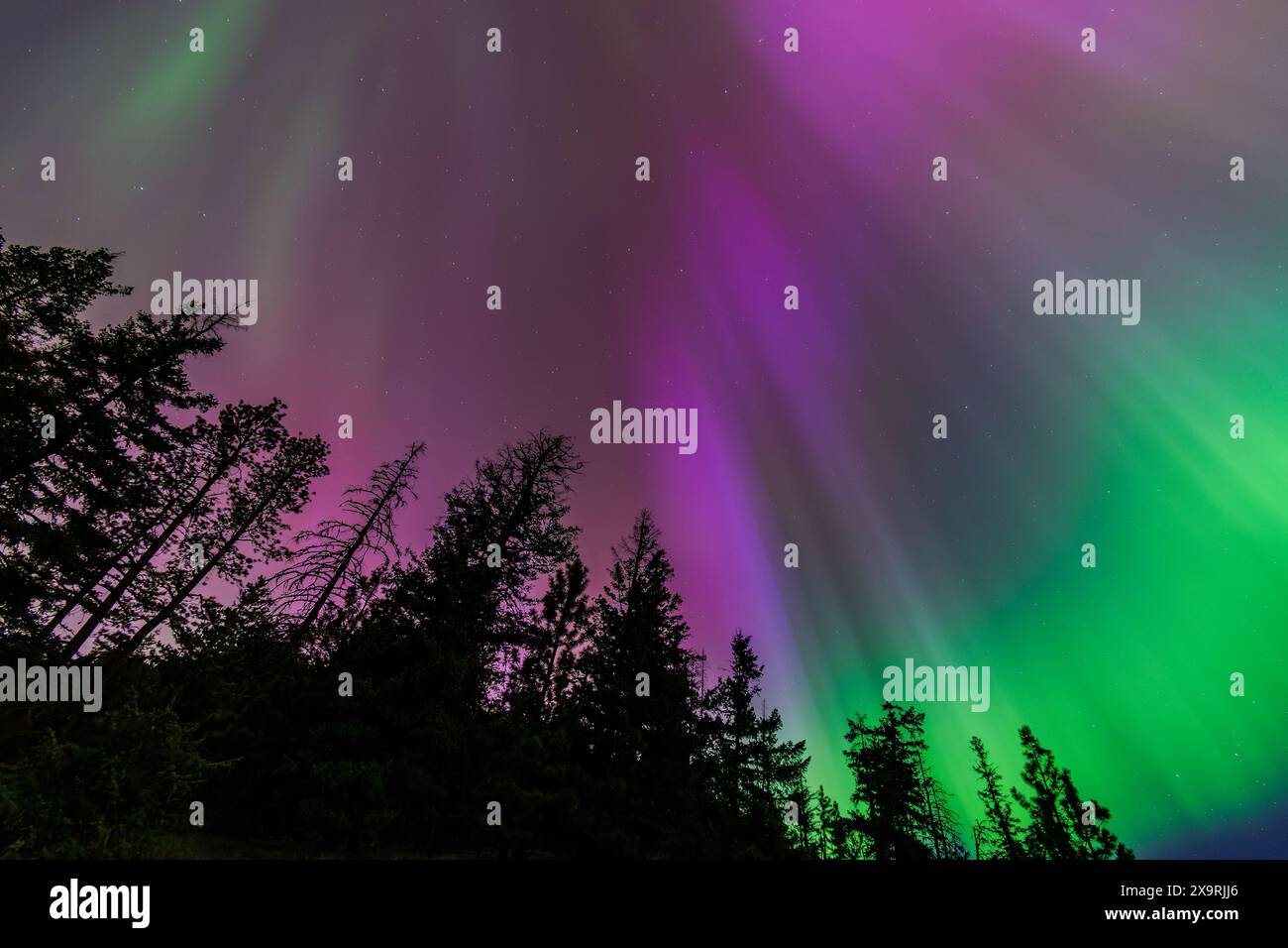 Amazing Aurora Borealis Northern Lights Seen Over Washington State ...