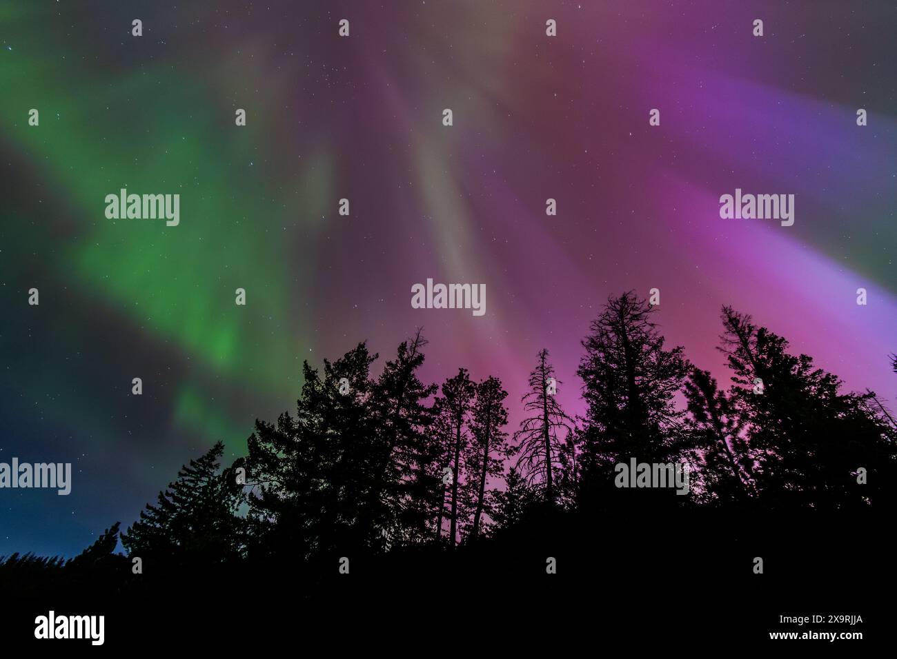 Amazing Aurora Borealis Northern Lights Seen Over Washington State ...