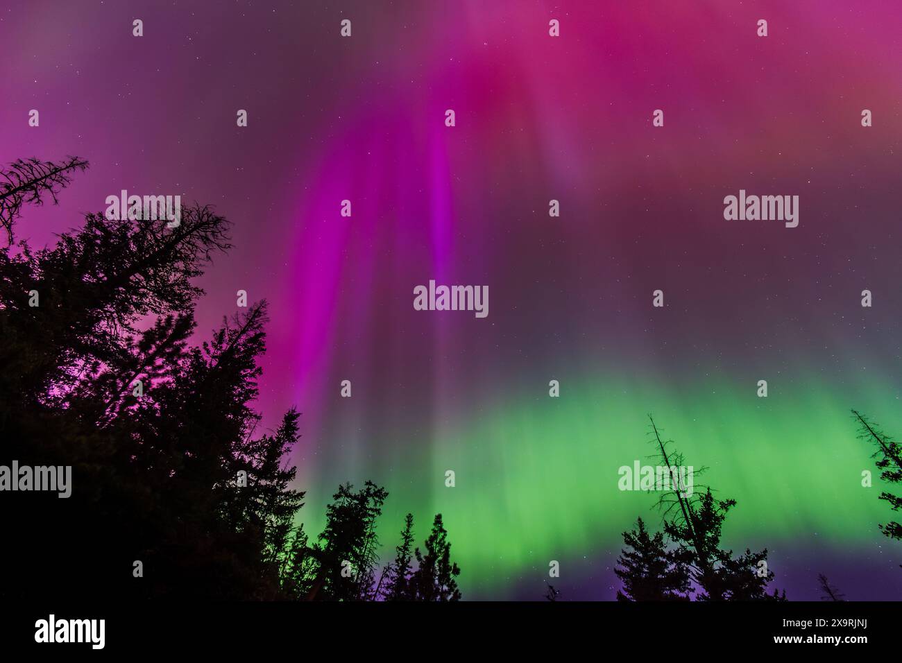 Amazing Aurora Borealis Northern Lights Seen Over Washington State ...