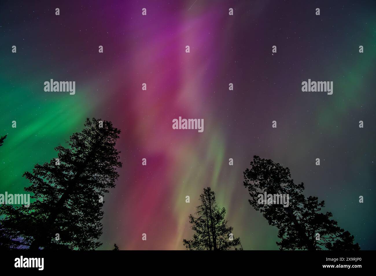 Amazing Aurora Borealis Northern Lights Seen Over Washington State ...