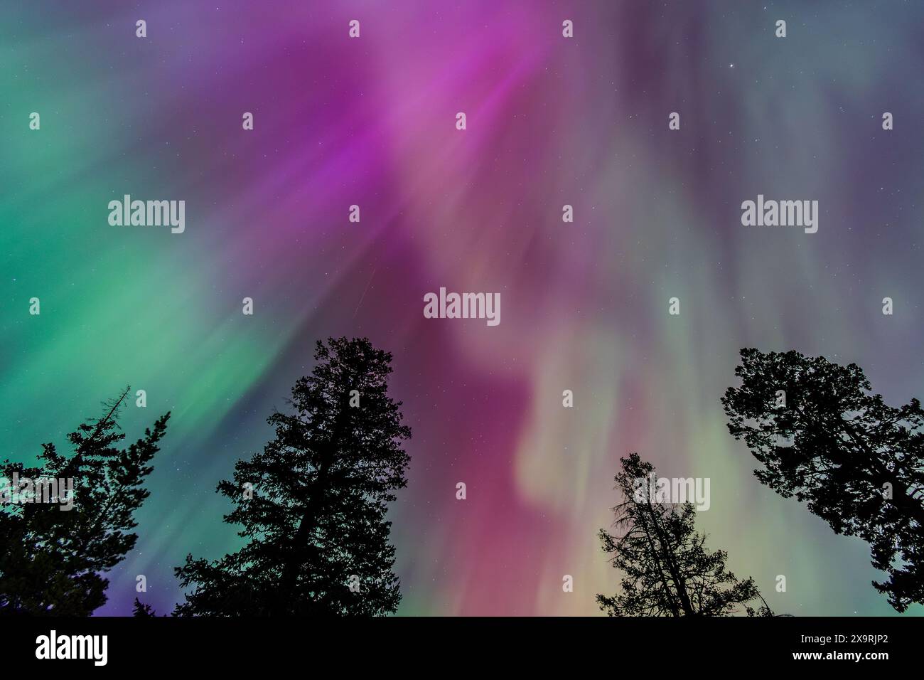Amazing Aurora Borealis Northern Lights Seen Over Washington State ...