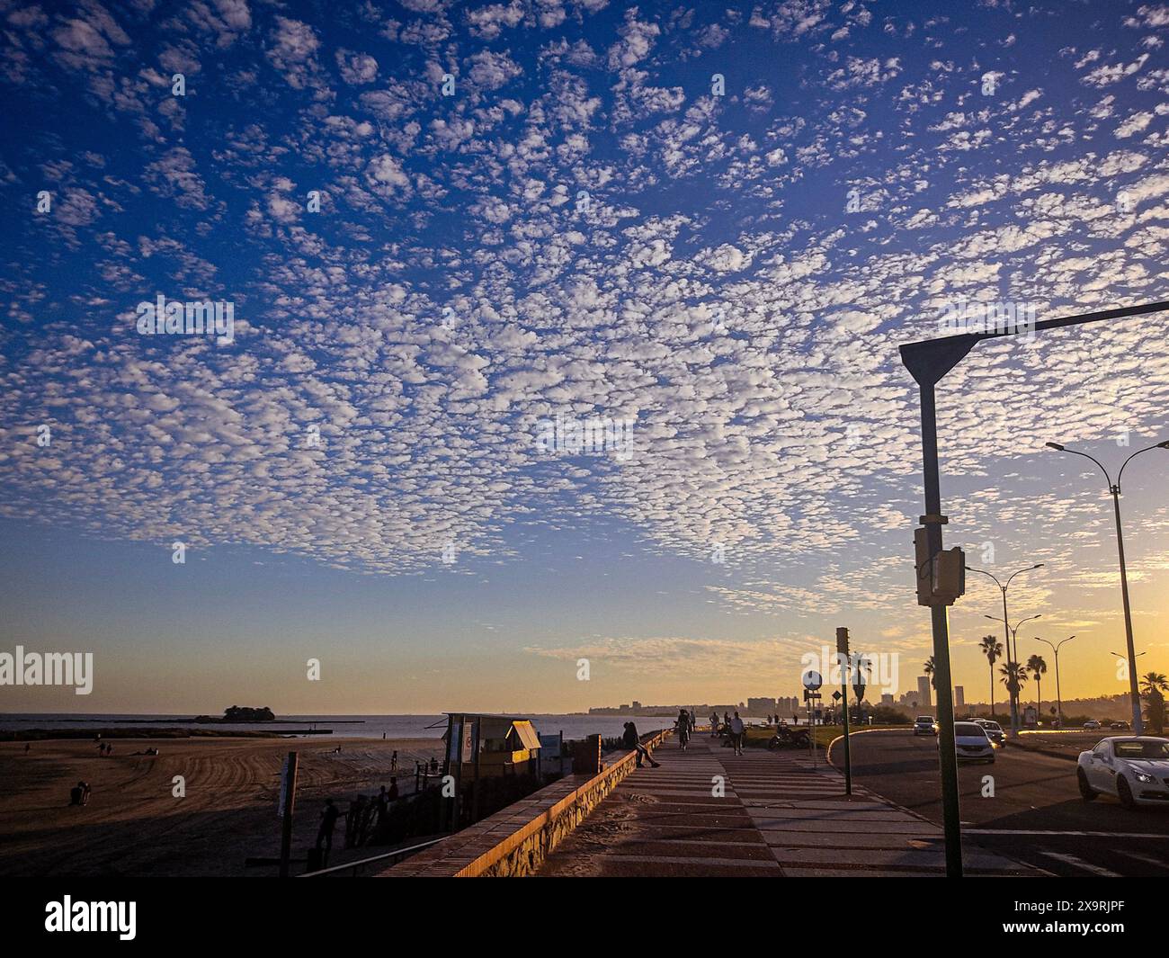 Beautiful coastal views of Montevideo, capturing serene beaches ...