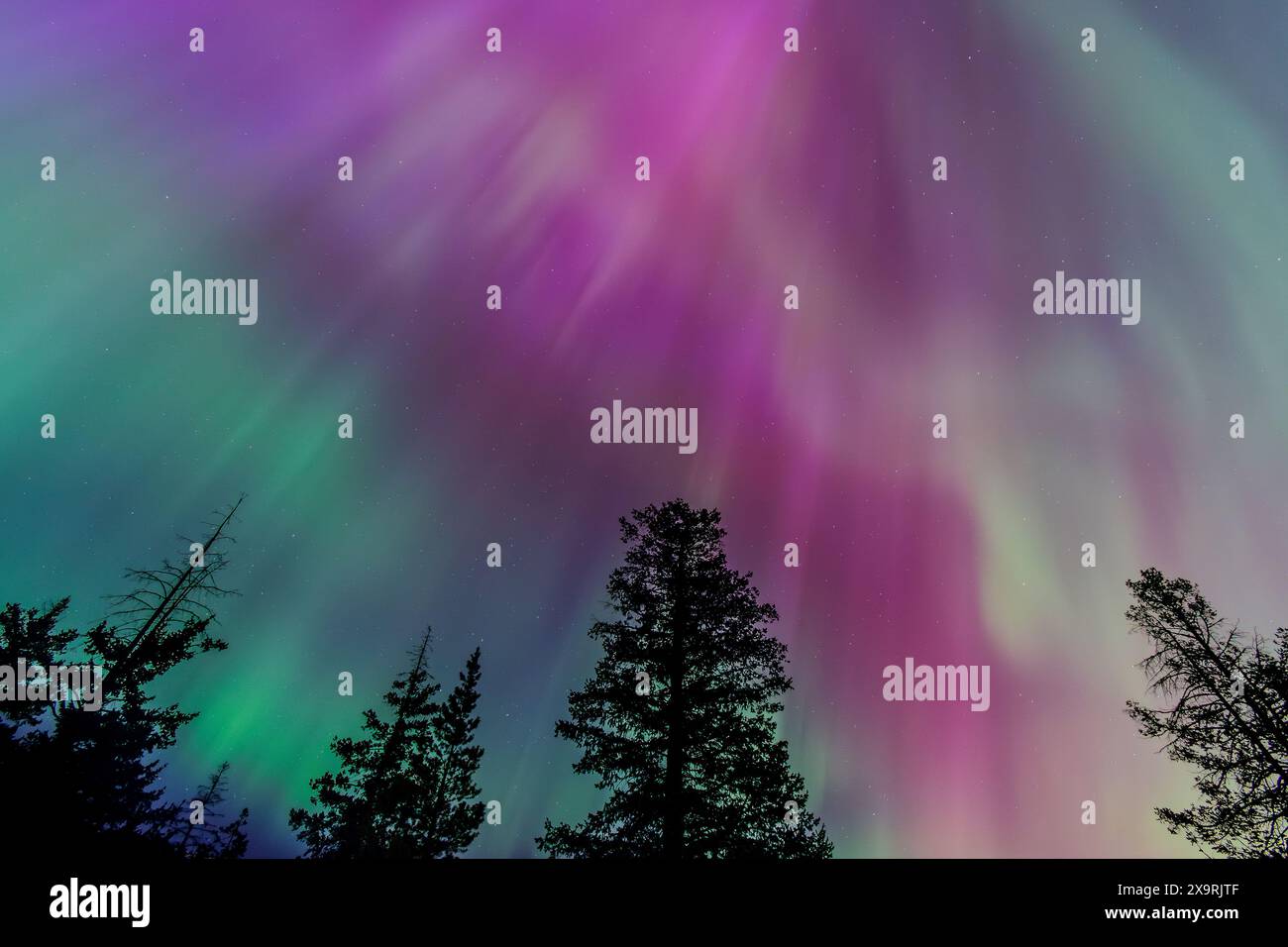 Amazing Aurora Borealis Northern Lights Seen Over Washington State ...