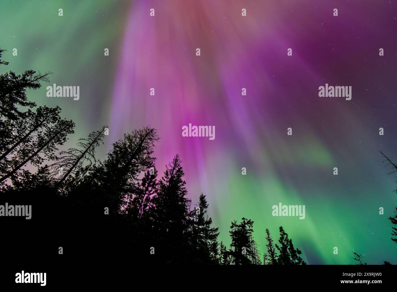 Amazing Aurora Borealis Northern Lights Seen Over Washington State ...