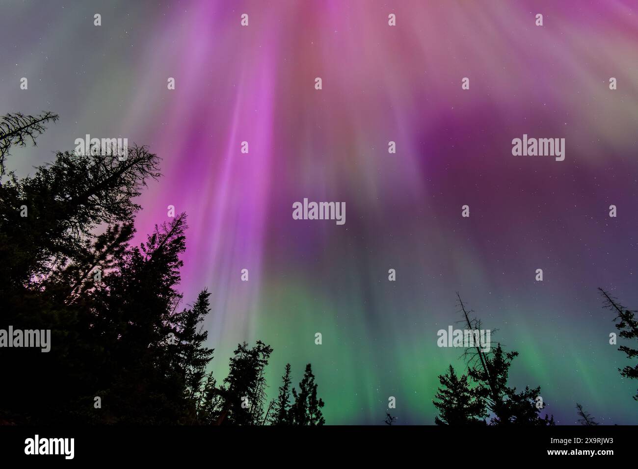 Amazing Aurora Borealis Northern Lights Seen Over Washington State ...