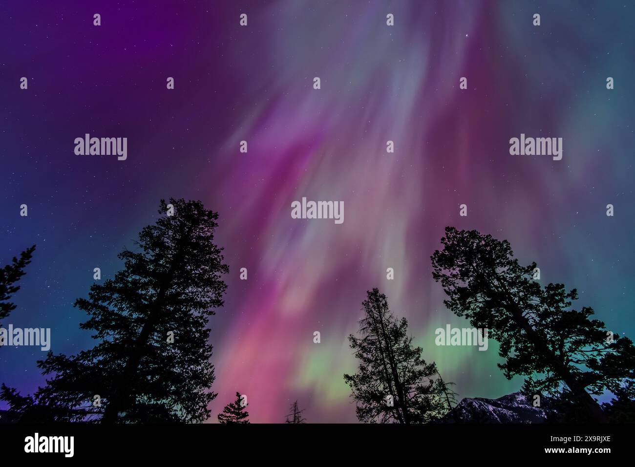 Amazing Aurora Borealis Northern Lights Seen Over Washington State ...