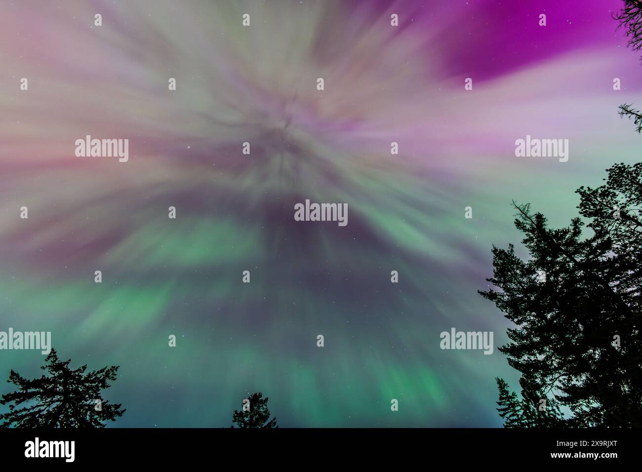 Amazing Aurora Borealis Northern Lights Seen Over Washington State ...