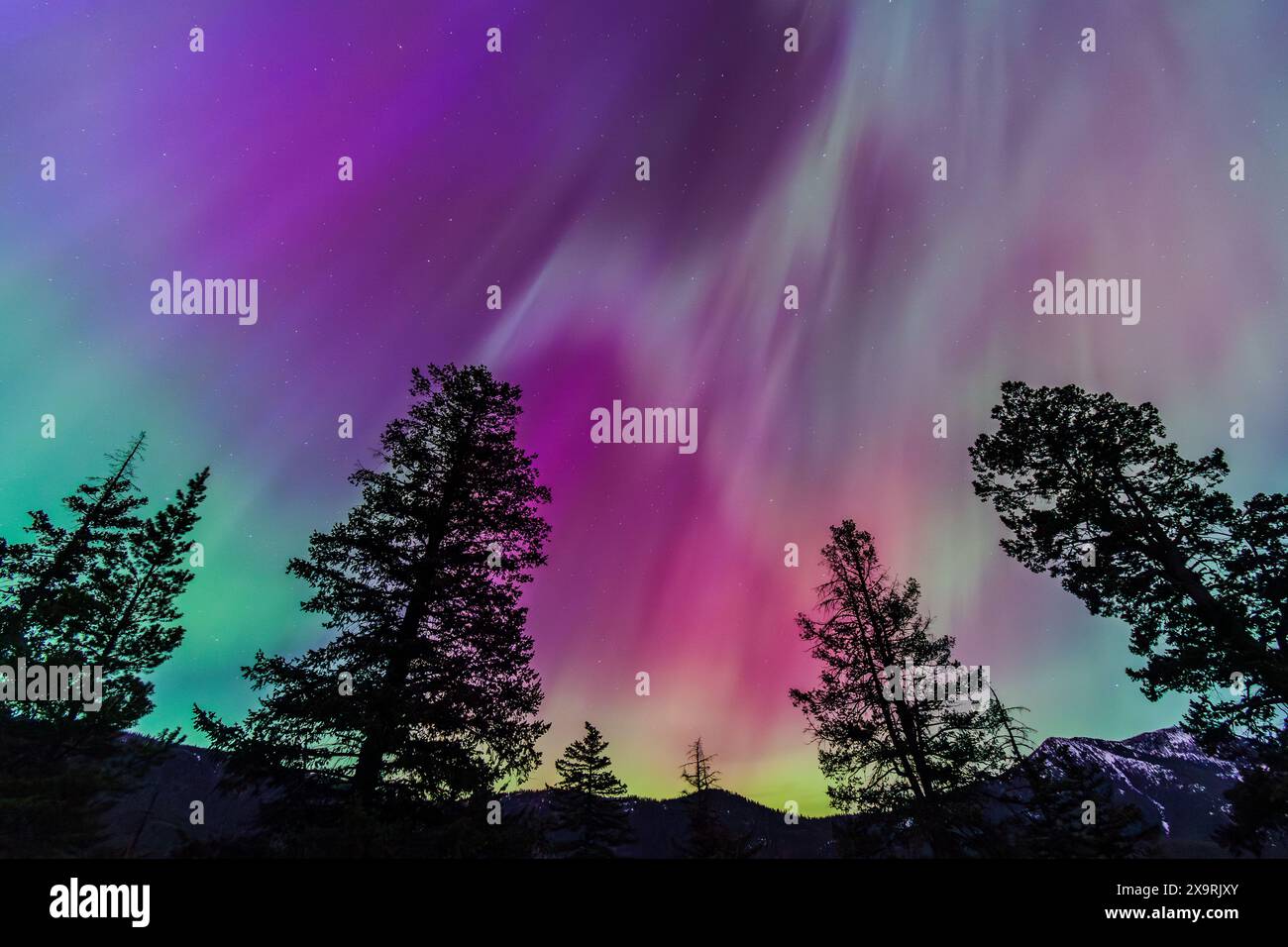 Amazing Aurora Borealis Northern Lights Seen Over Washington State ...