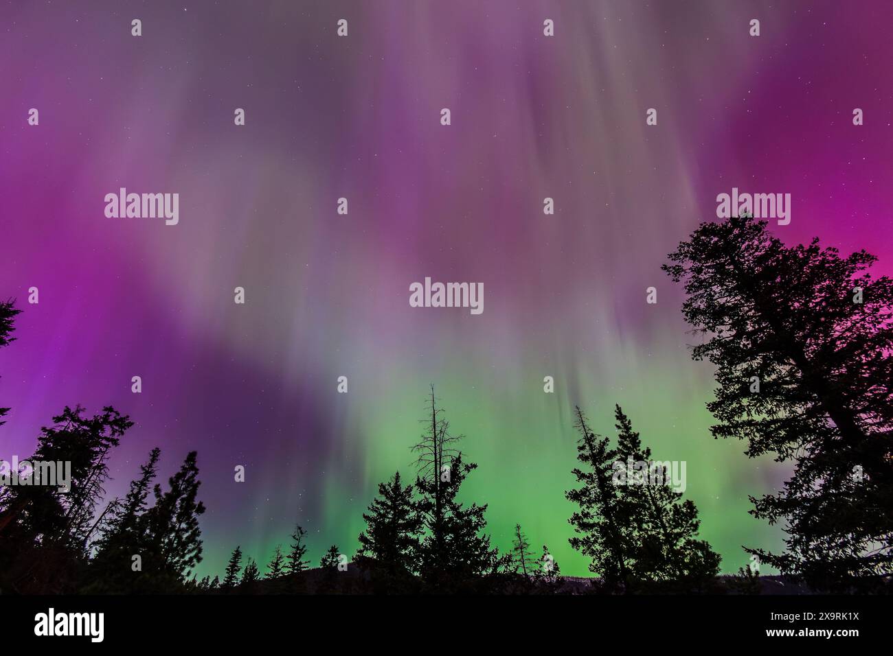 Amazing Aurora Borealis Northern Lights Seen Over Washington State ...