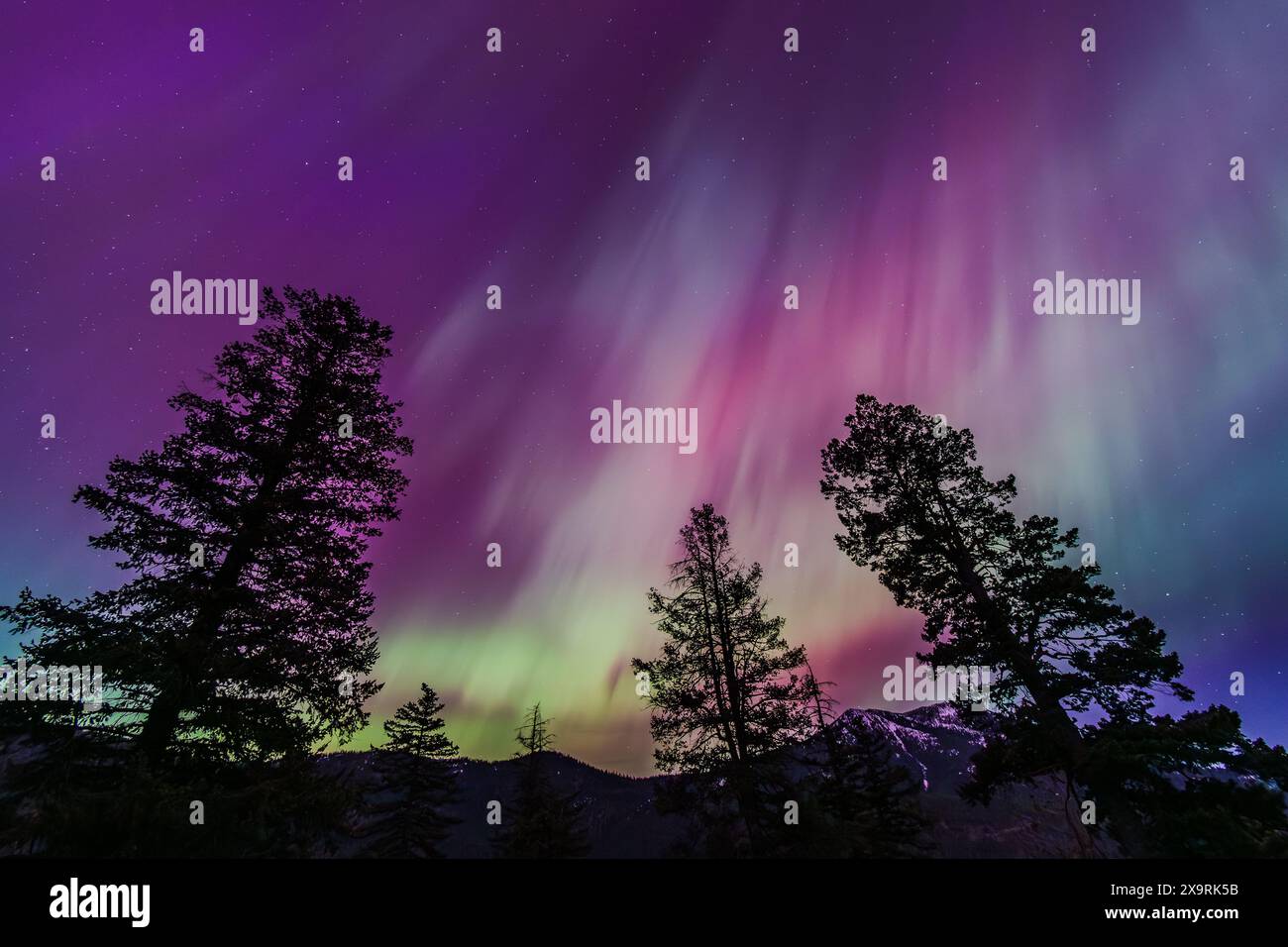 Amazing Aurora Borealis Northern Lights Seen Over Washington State ...