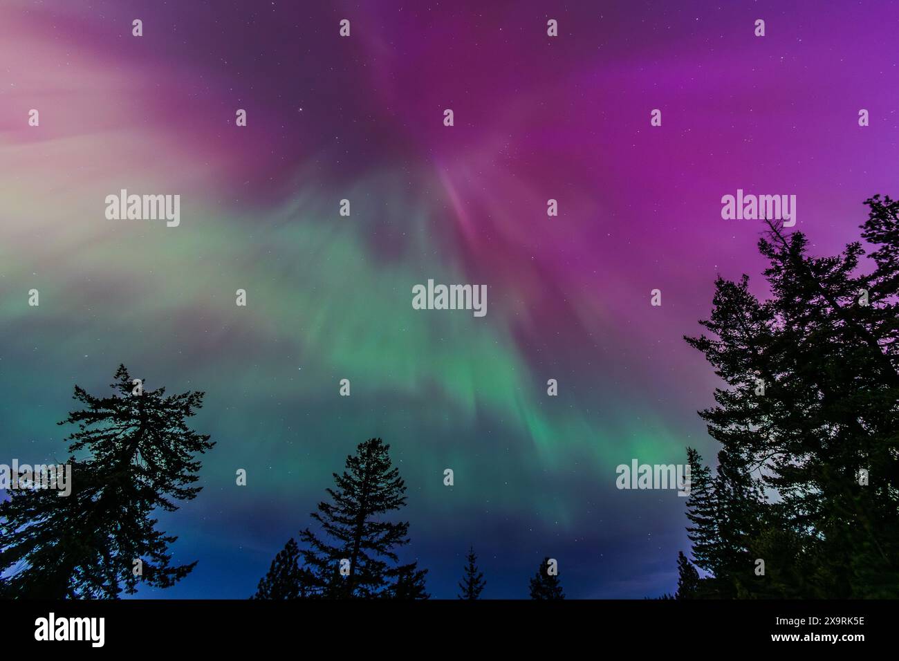 Amazing Aurora Borealis Northern Lights Seen Over Washington State ...