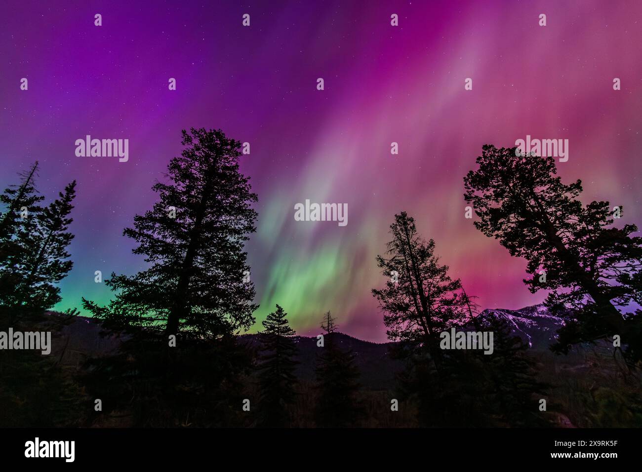 Amazing Aurora Borealis Northern Lights Seen Over Washington State ...