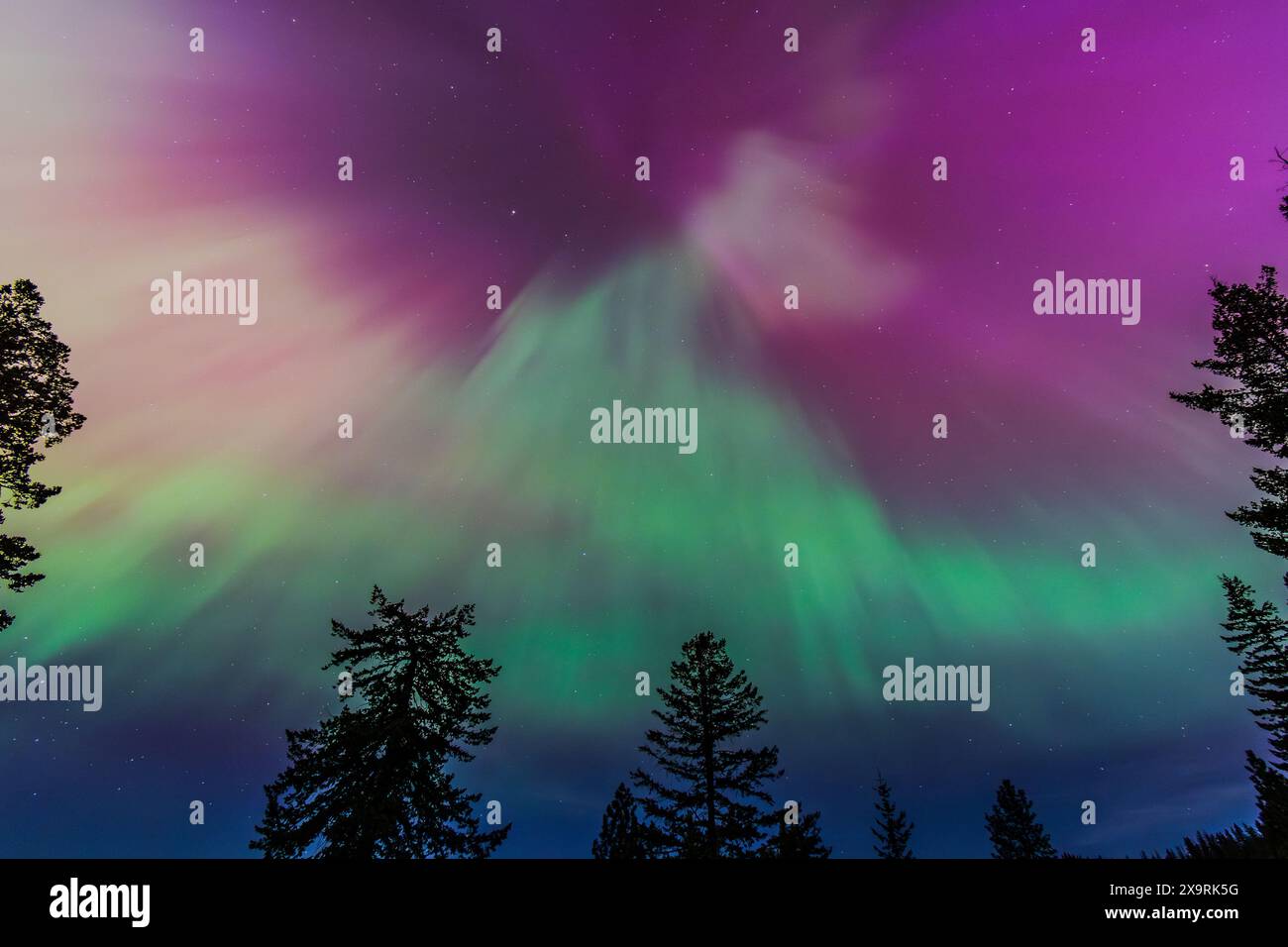 Amazing Aurora Borealis Northern Lights Seen Over Washington State ...