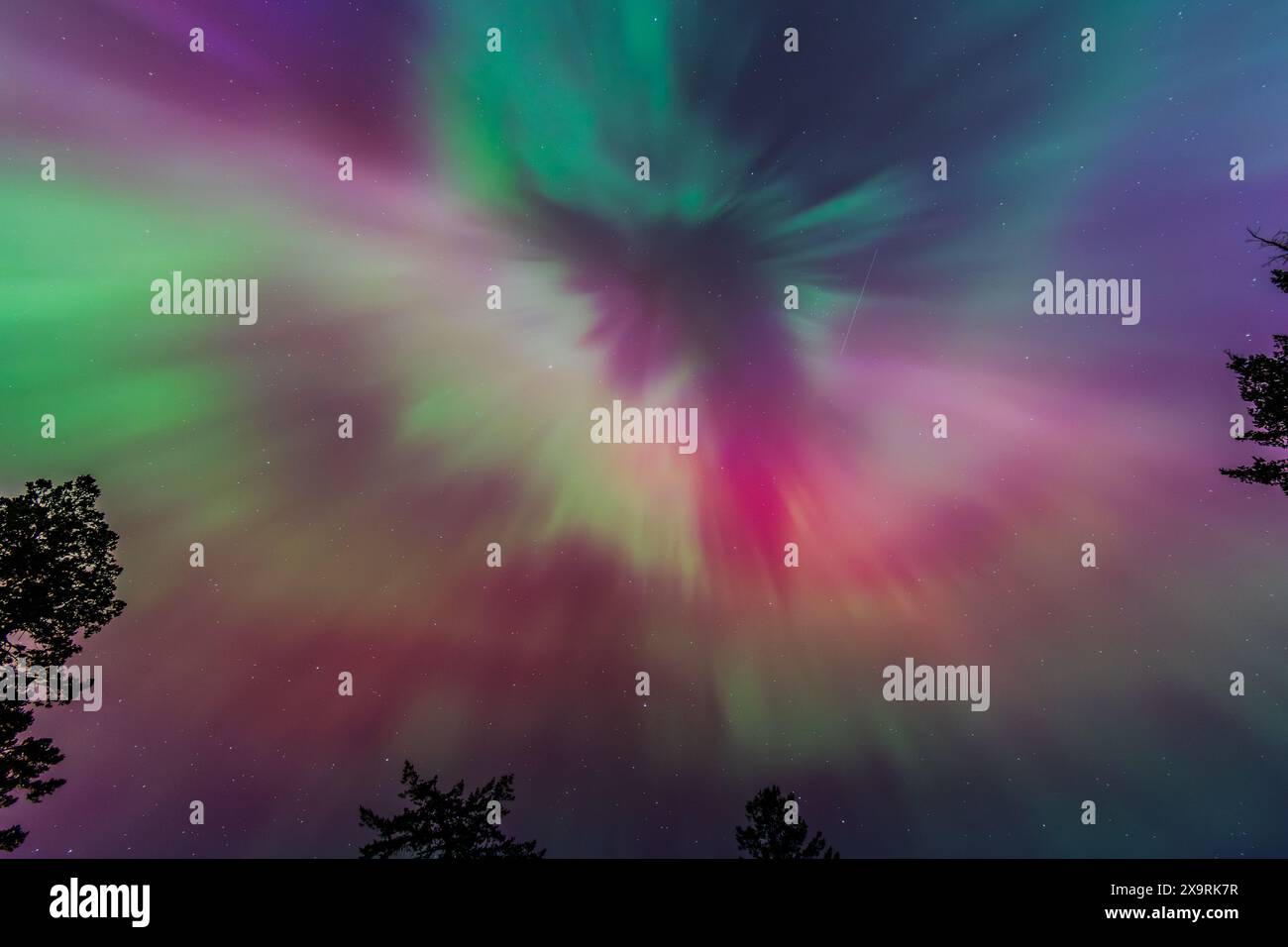 Amazing Aurora Borealis Northern Lights Seen Over Washington State ...