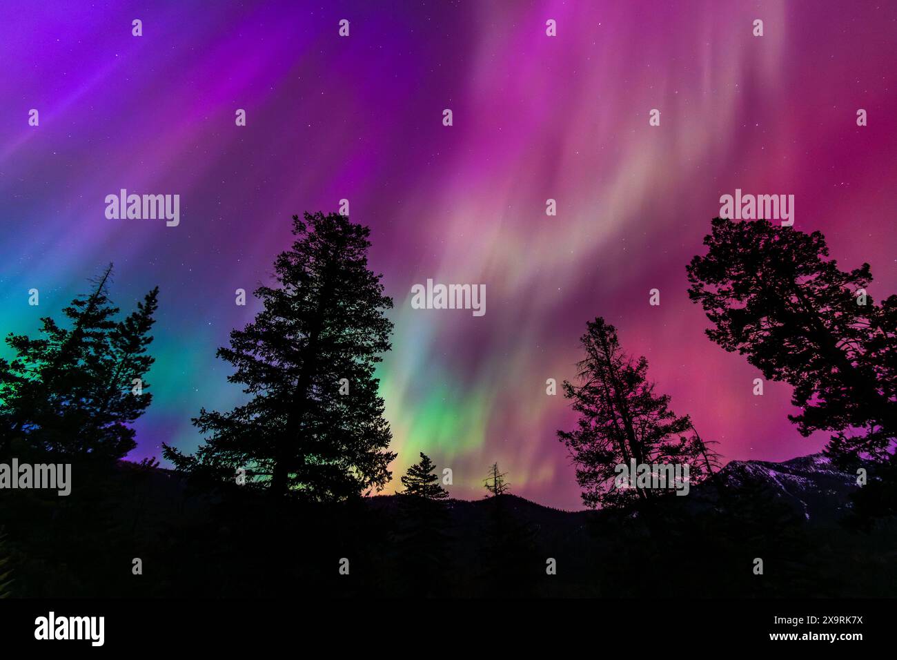 Amazing Aurora Borealis Northern Lights Seen Over Washington State ...