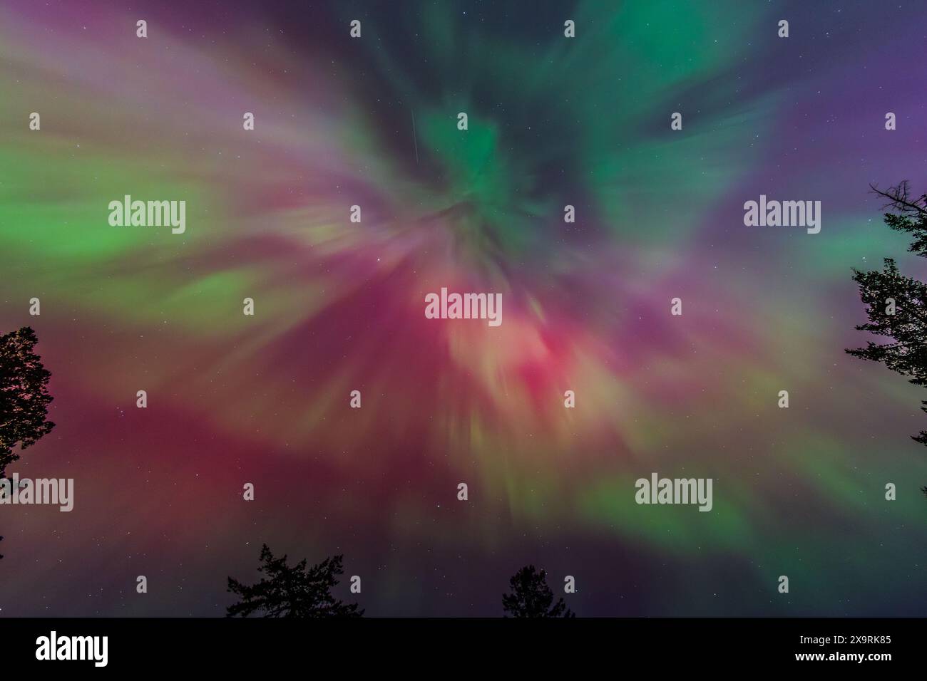 Amazing Aurora Borealis Northern Lights Seen Over Washington State ...