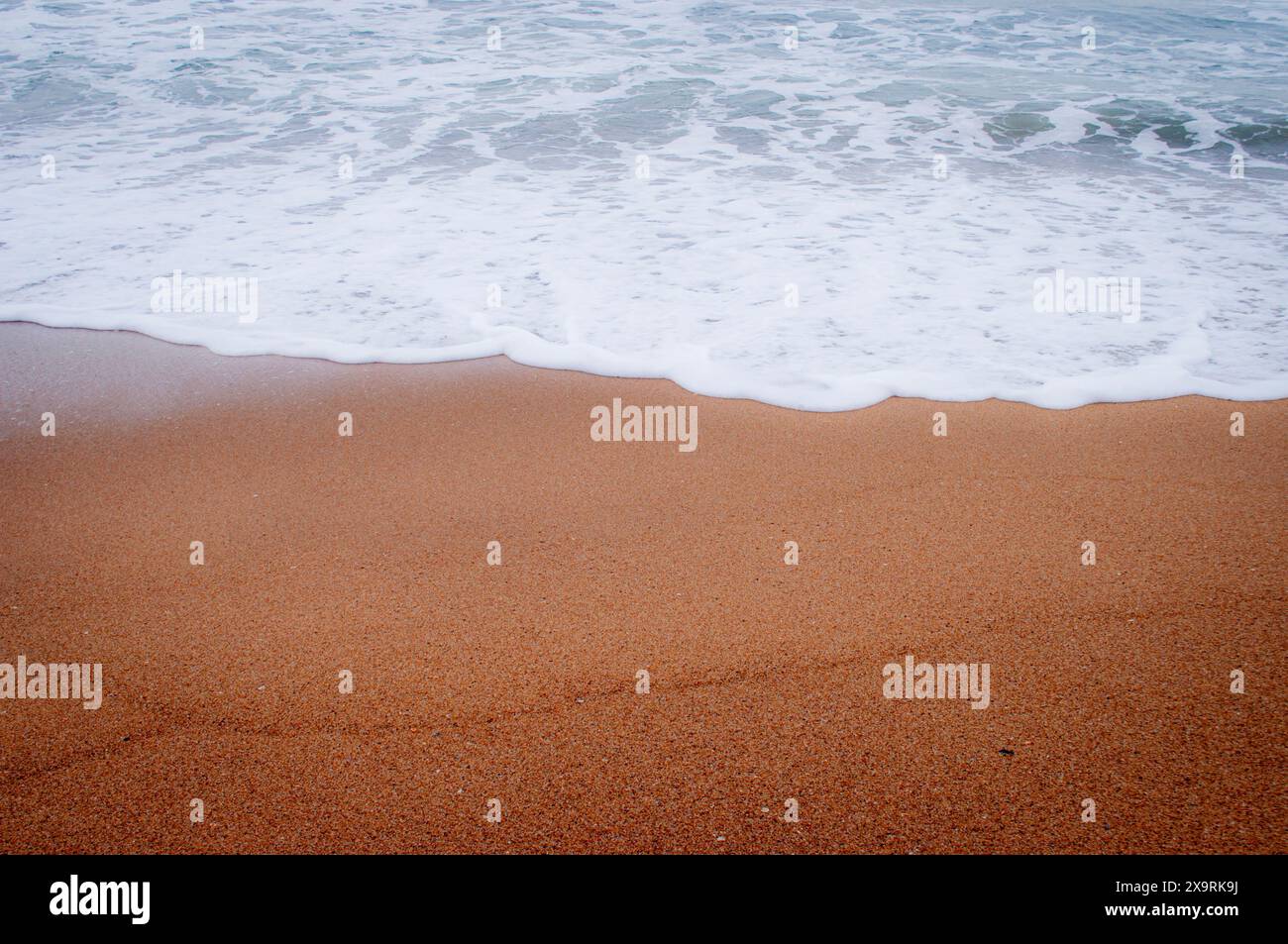 Gentle waves of the ocean meet the golden sandy shore, capturing the ...