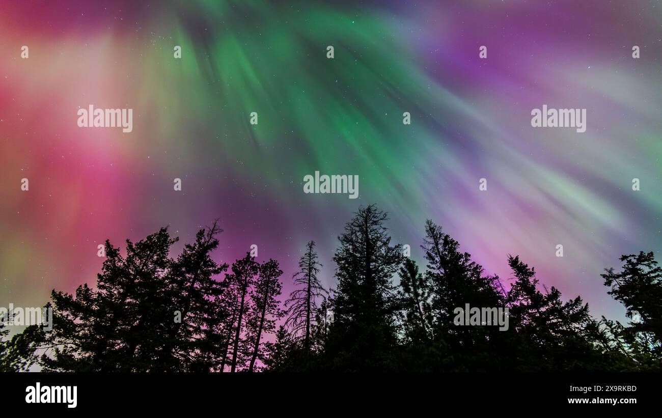 Amazing Aurora Borealis Northern Lights Seen Over Washington State ...