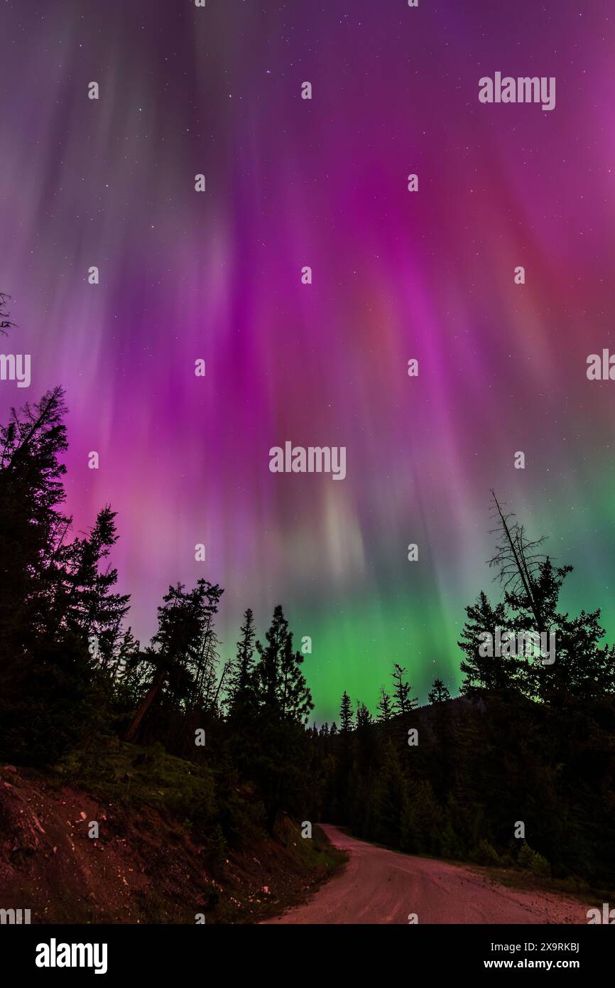 Amazing Aurora Borealis Northern Lights Seen Over Washington State ...