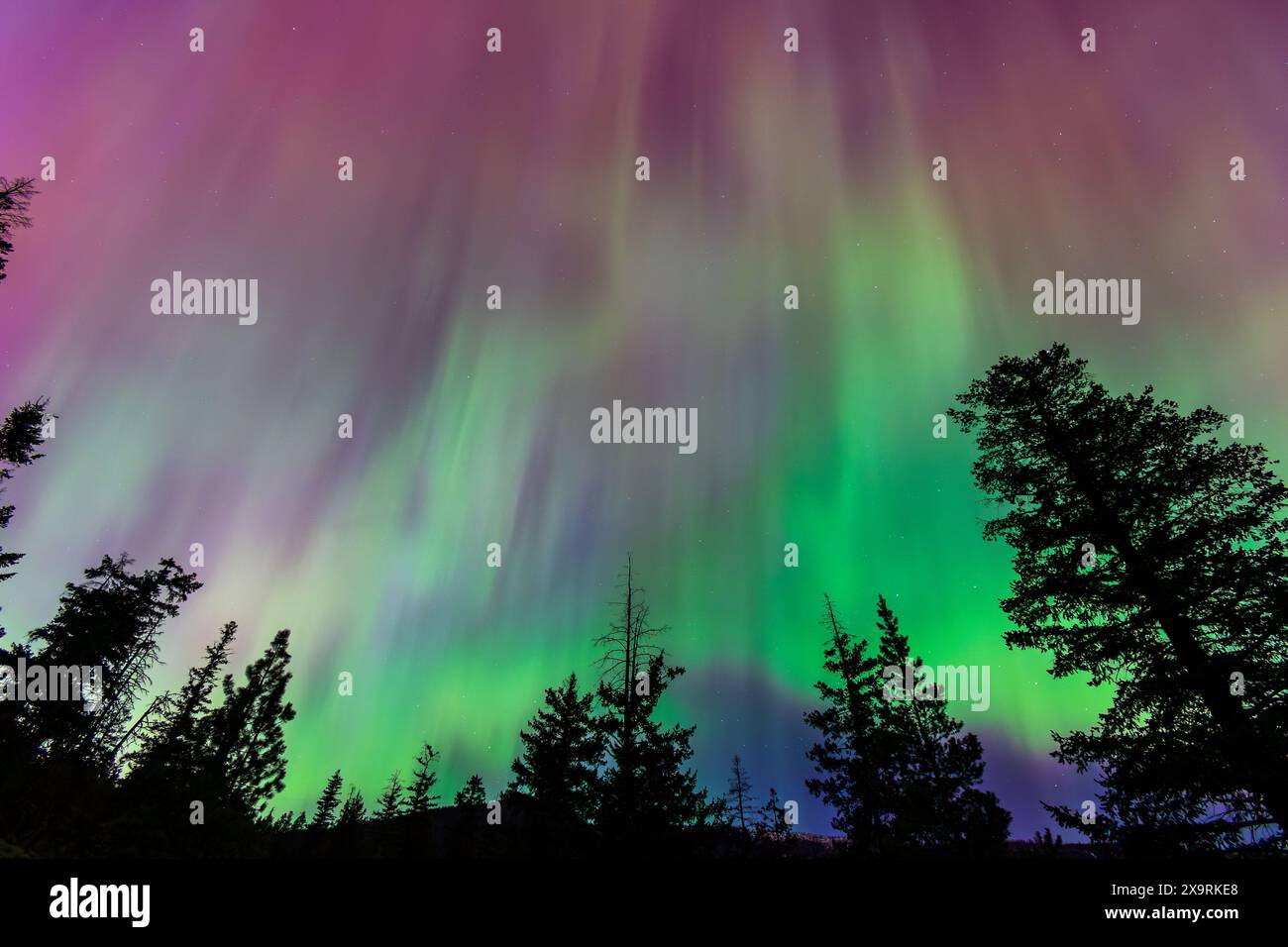 Amazing Aurora Borealis Northern Lights Seen Over Washington State ...