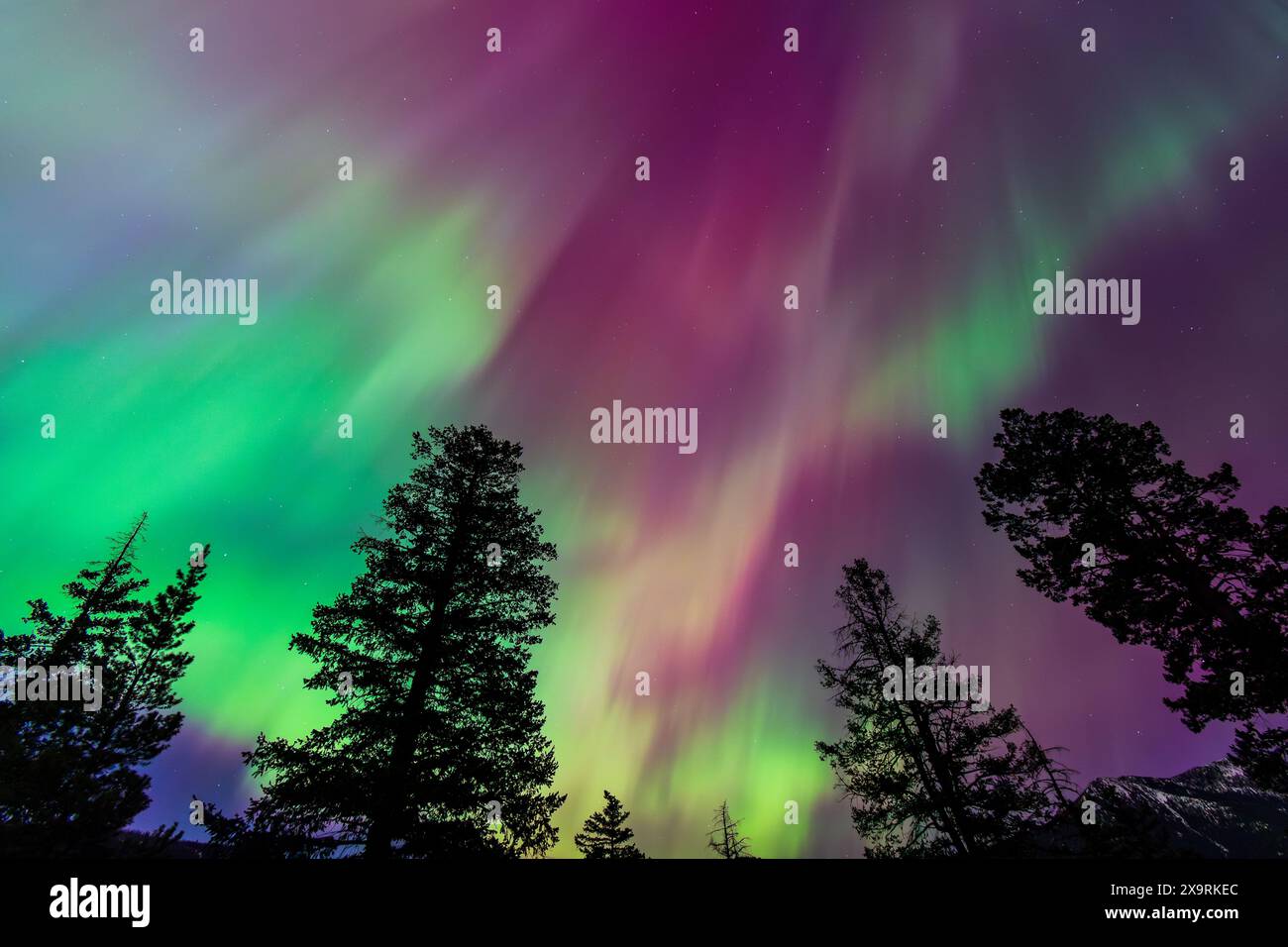 Amazing Aurora Borealis Northern Lights Seen Over Washington State ...