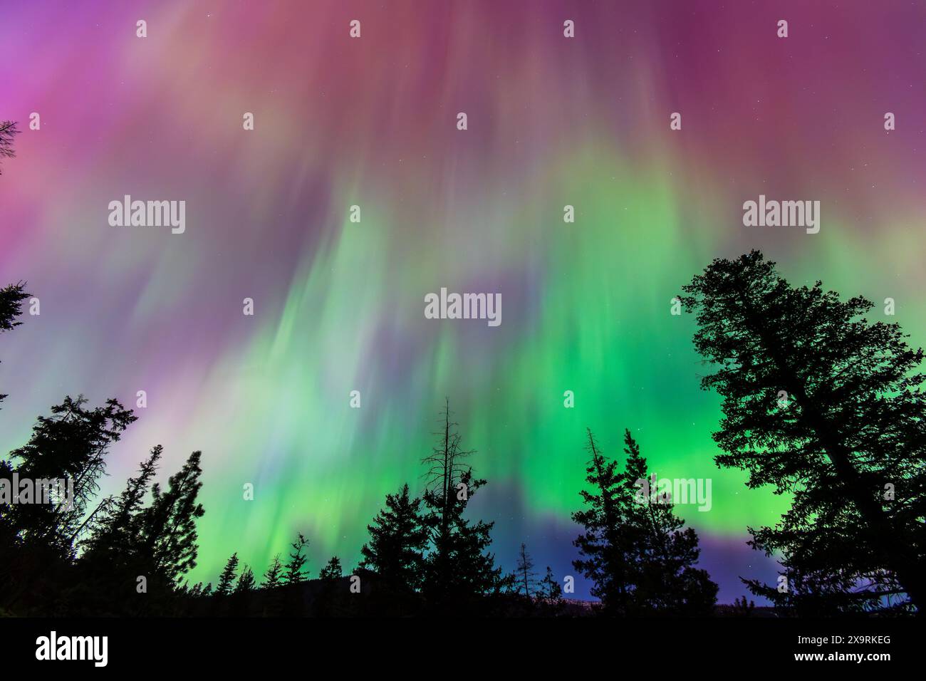 Amazing Aurora Borealis Northern Lights Seen Over Washington State ...