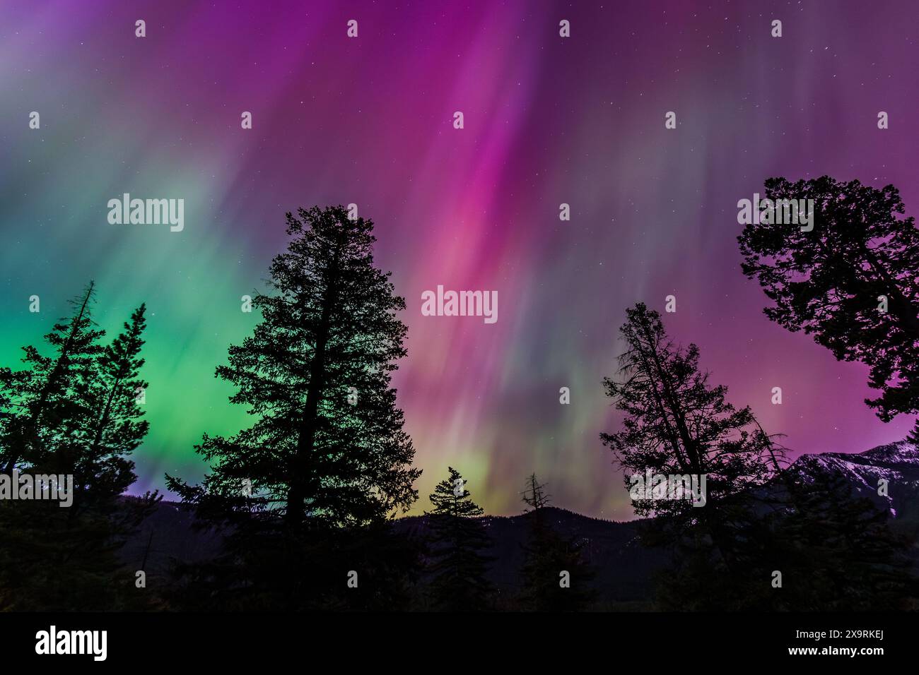 Amazing Aurora Borealis Northern Lights Seen Over Washington State ...
