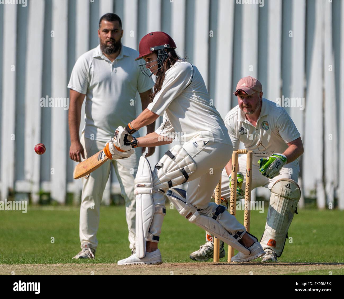 Cricket 2024 hi-res stock photography and images - Alamy